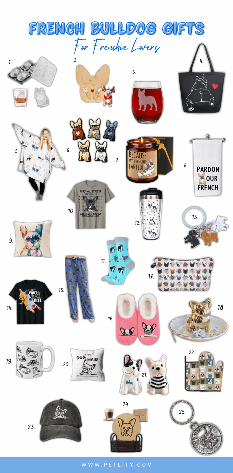 25 Best French Bulldog Gifts for the Frenchie Lover in Your Life - Petlity